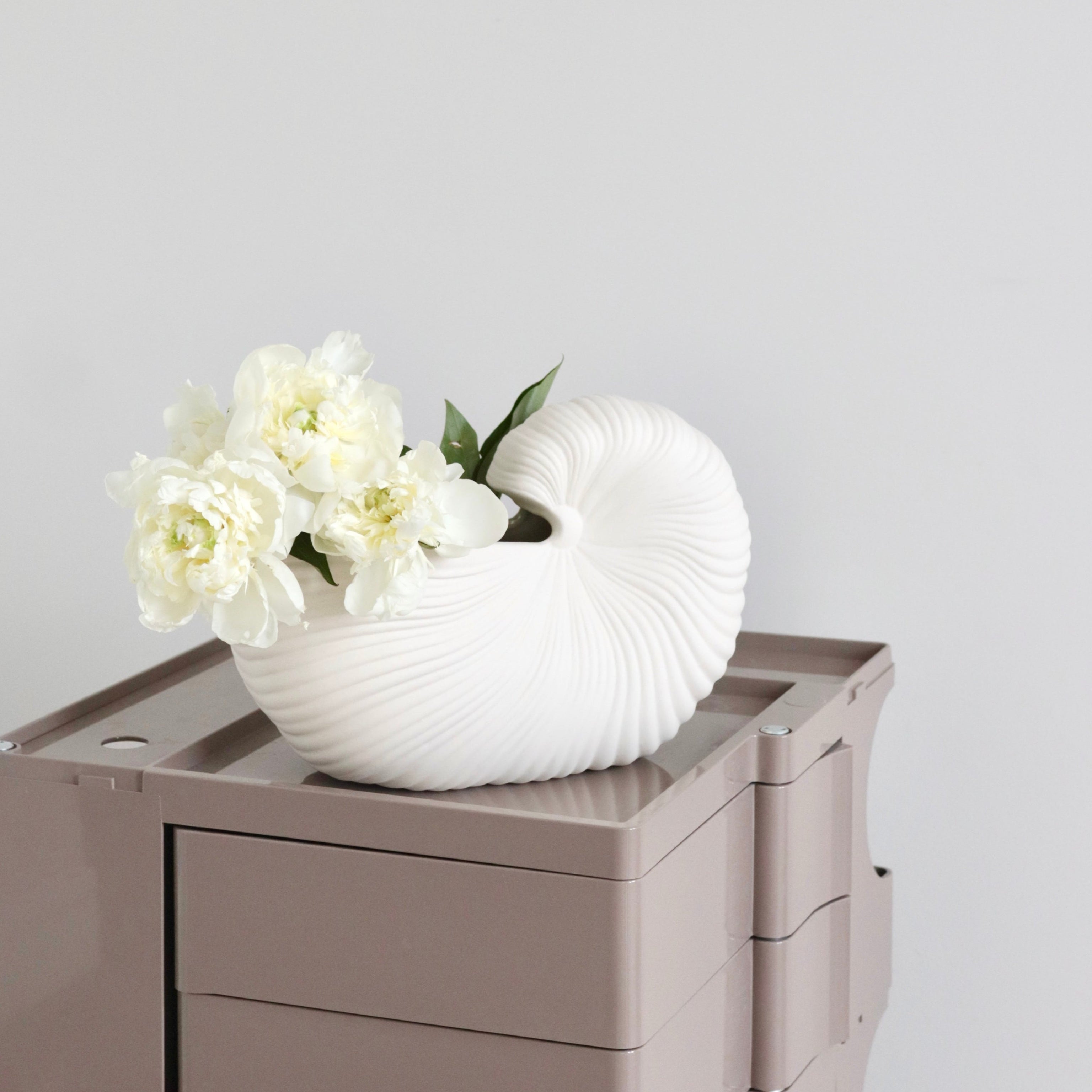 ferm LIVING Shell Pot | FUNSTY