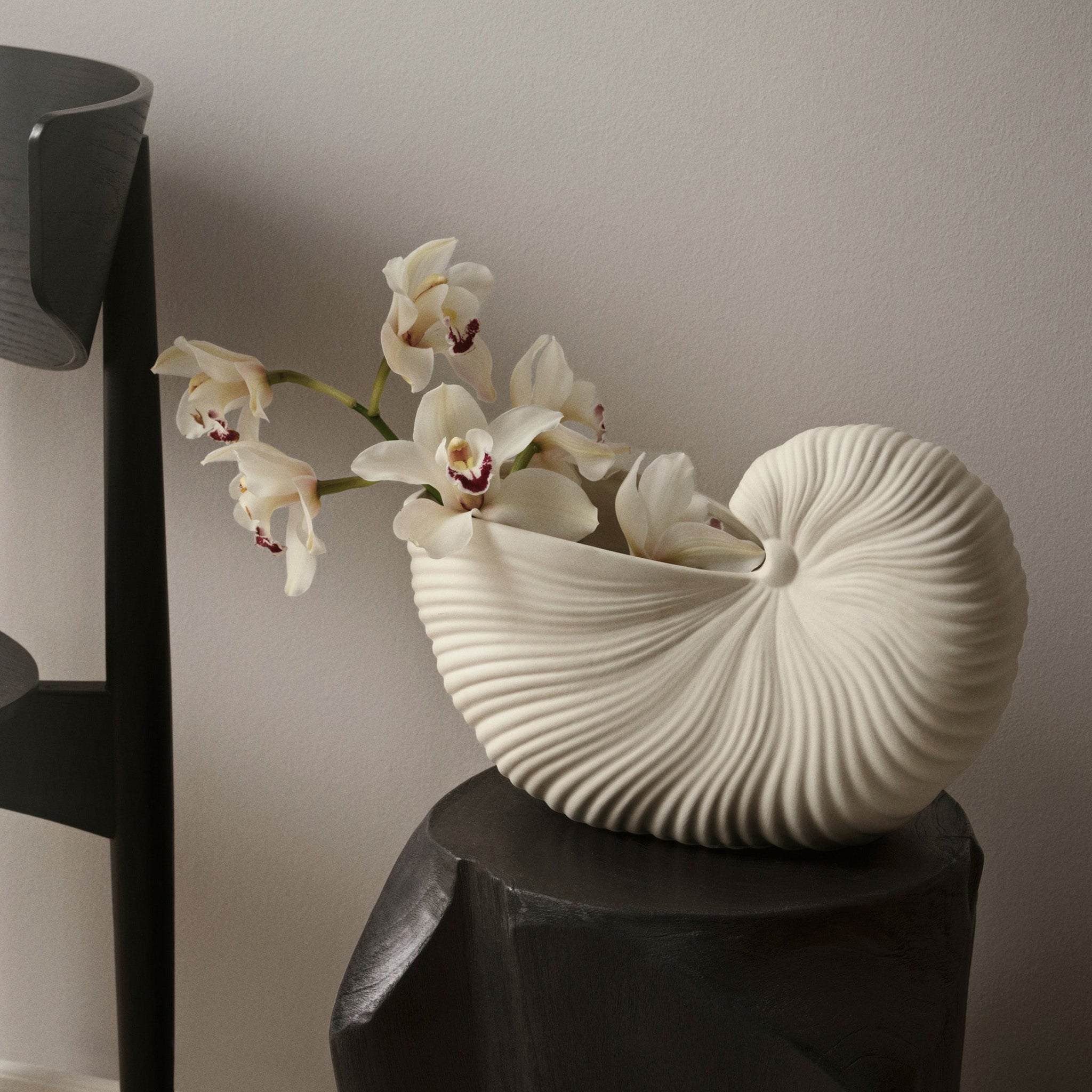 ferm LIVING Shell Pot | FUNSTY